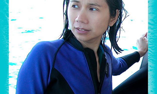 Laura Lau - Superficial Gallery