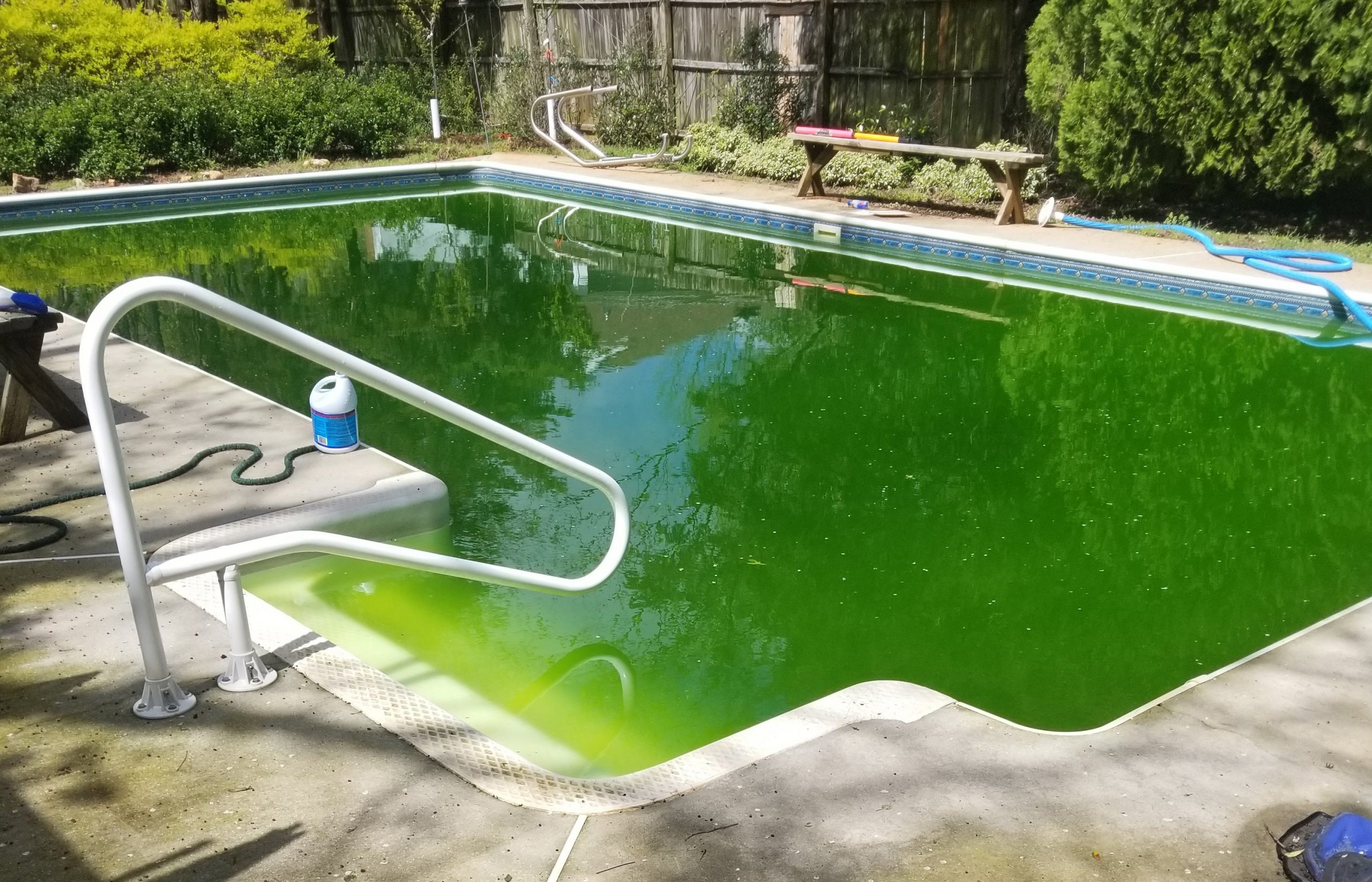My Pool is Green and I Quit - Superficial Gallery